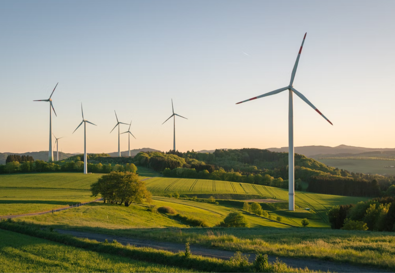 Environmental Sustainability & ESG Goals | SMI